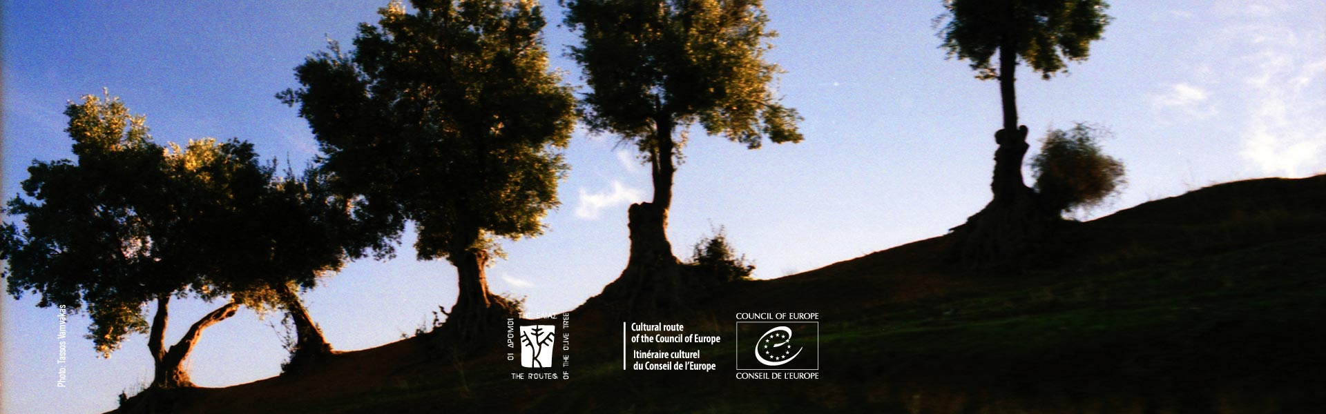 slides02bs – ΔΡΟΜΟΙ ΤΗΣ ΕΛΙΑΣ – THE ROUTES OF THE OLIVE TREE – LES ...